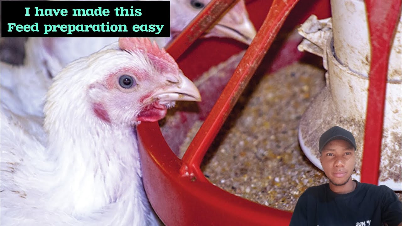How To Make Poultry Feed For Broiler - YouTube