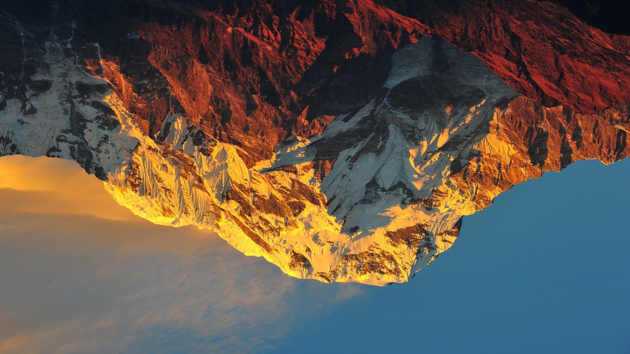 sean griffith Live Stream - YouTube