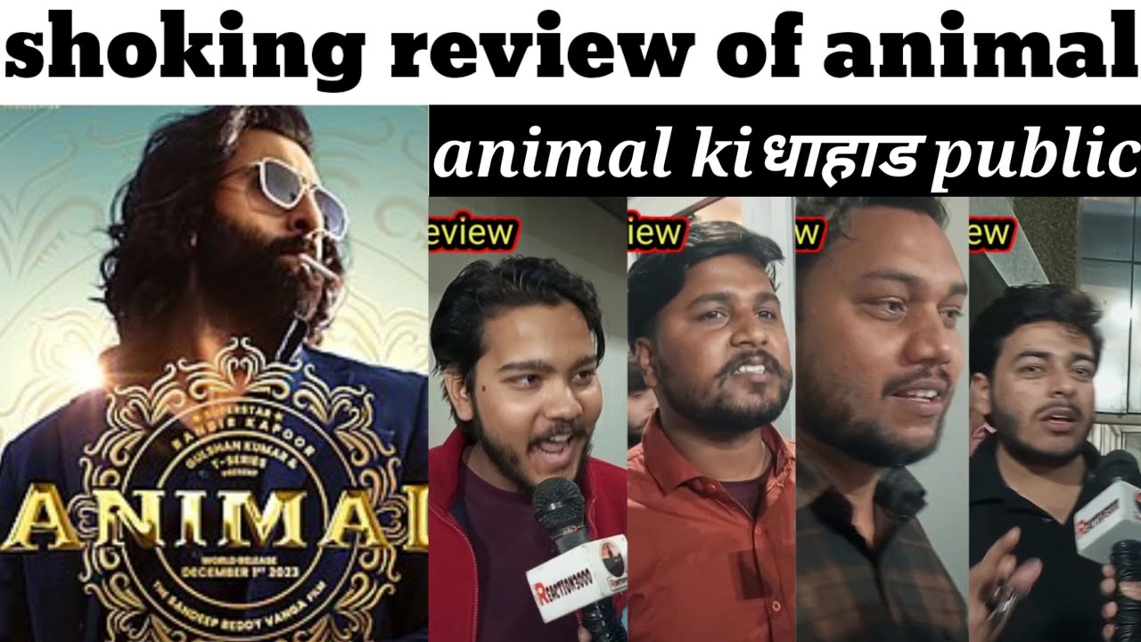 shoking review of animal | animal movie review | animal public reaction ...