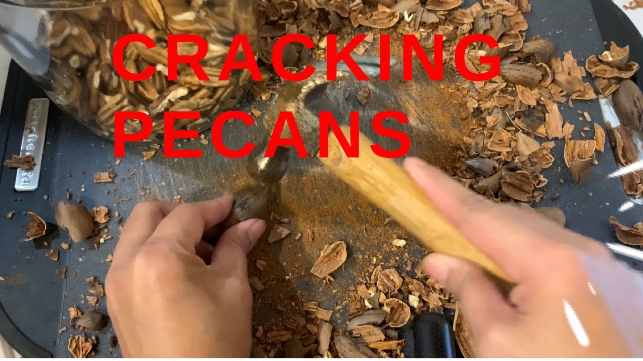 Cracking pecans with the hammer - YouTube