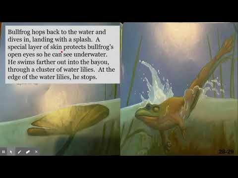 Bullfrog at Magnolia Circle Pages 26-31: Reading Assessment Engage NY ...