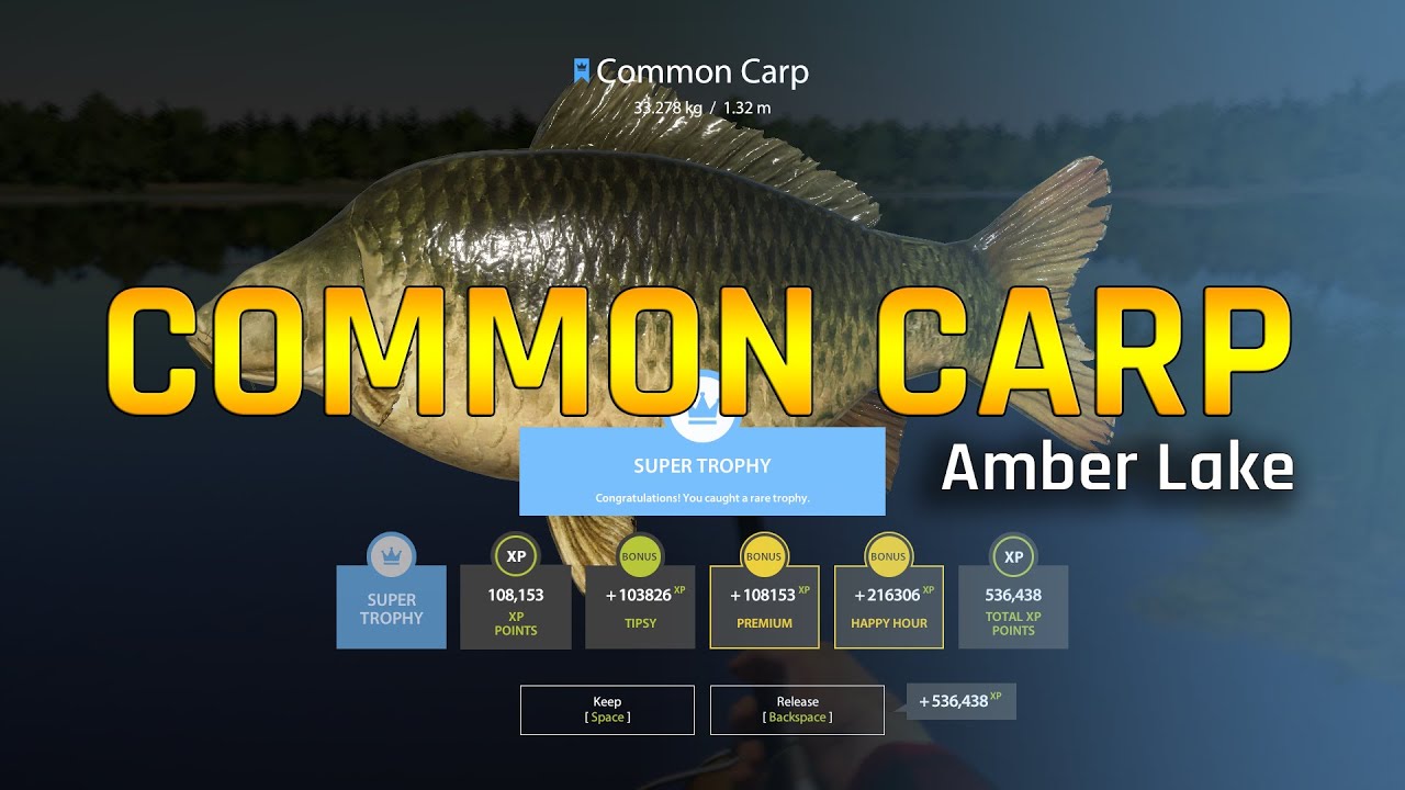Russian Fishing 4 - RF4 | Common Carp | Amber Lake | Blue Tag Trophy ...