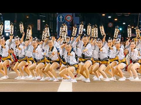 Japonya'nın En Büyük ve 400 Yıllık Dans Festivali | TOKUSHIMA ŞEHRİ AWA ODORI 2026