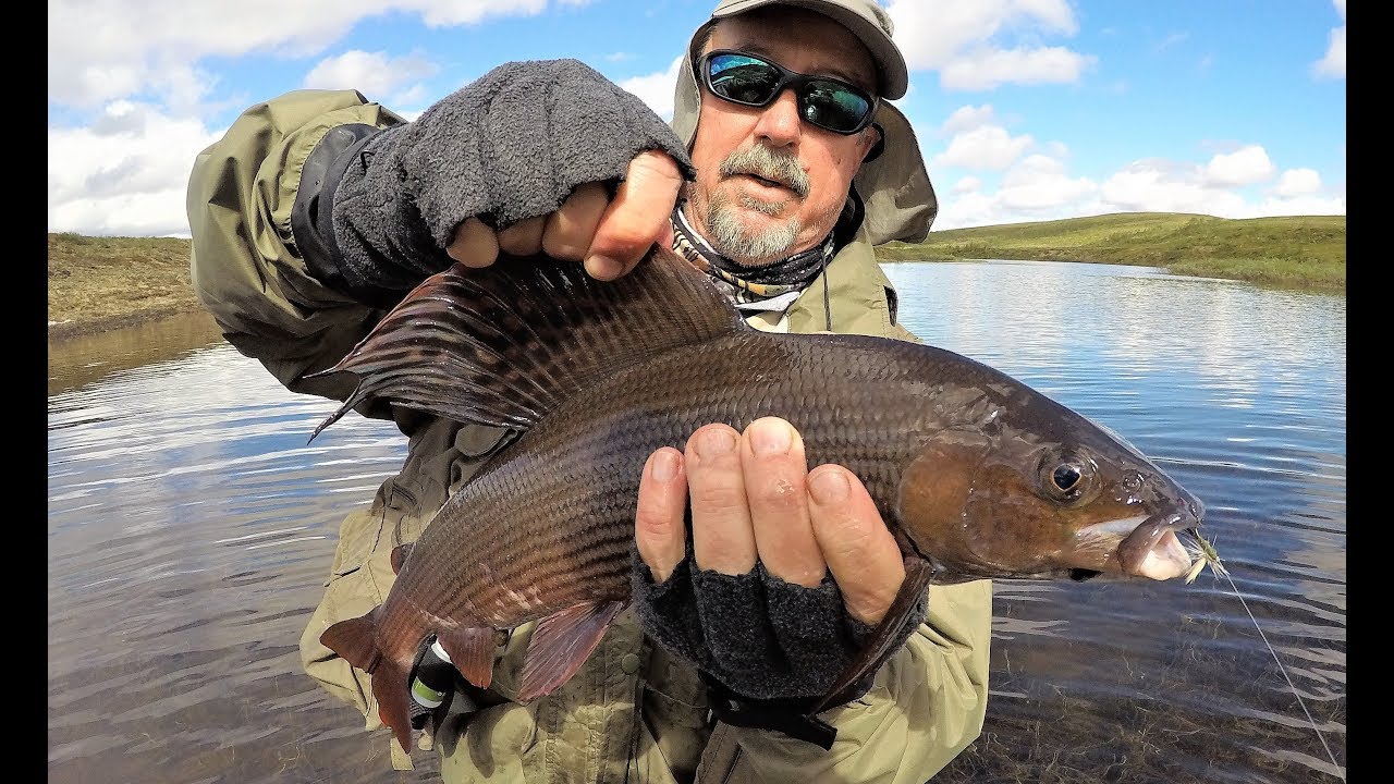 ATV Fly fishing Adventure - YouTube