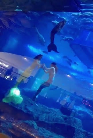 Mermaid inside the Dubai mall aquarium #dubai #dubaimall #mermaids # ...