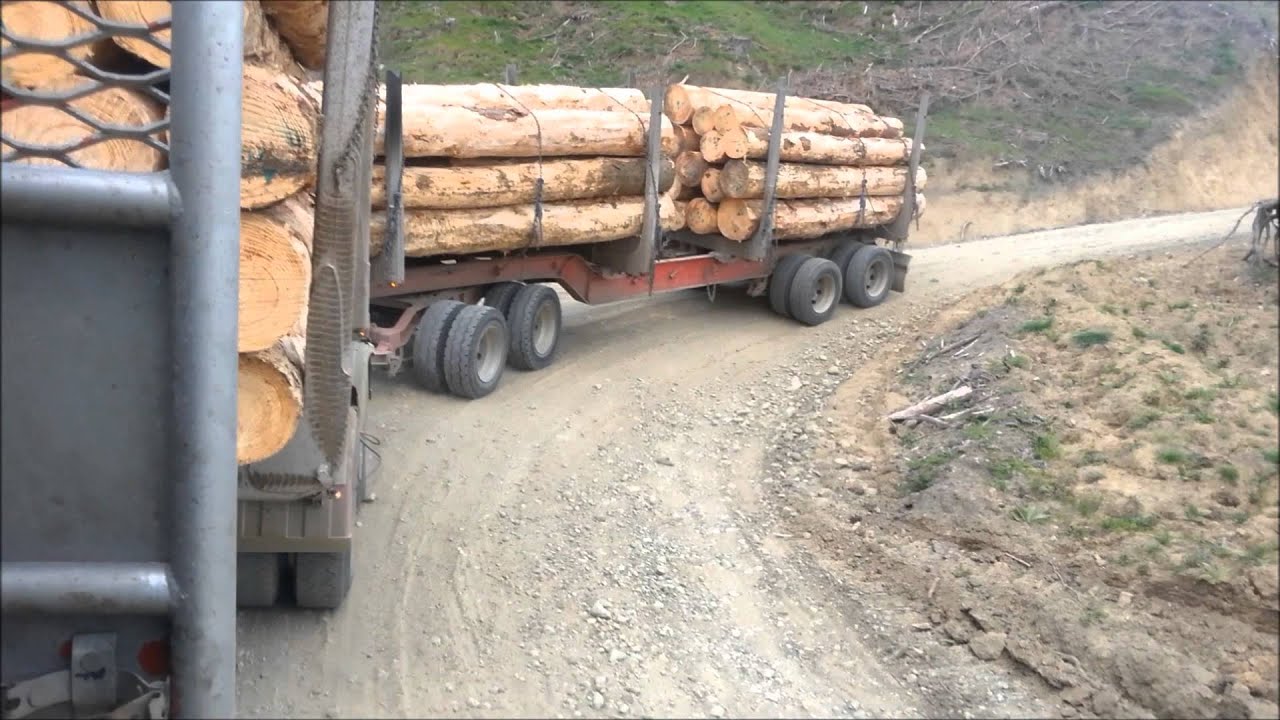Nz Logging - YouTube