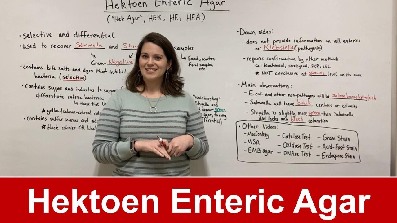 Hektoen Enteric Agar (HEK agar) - YouTube