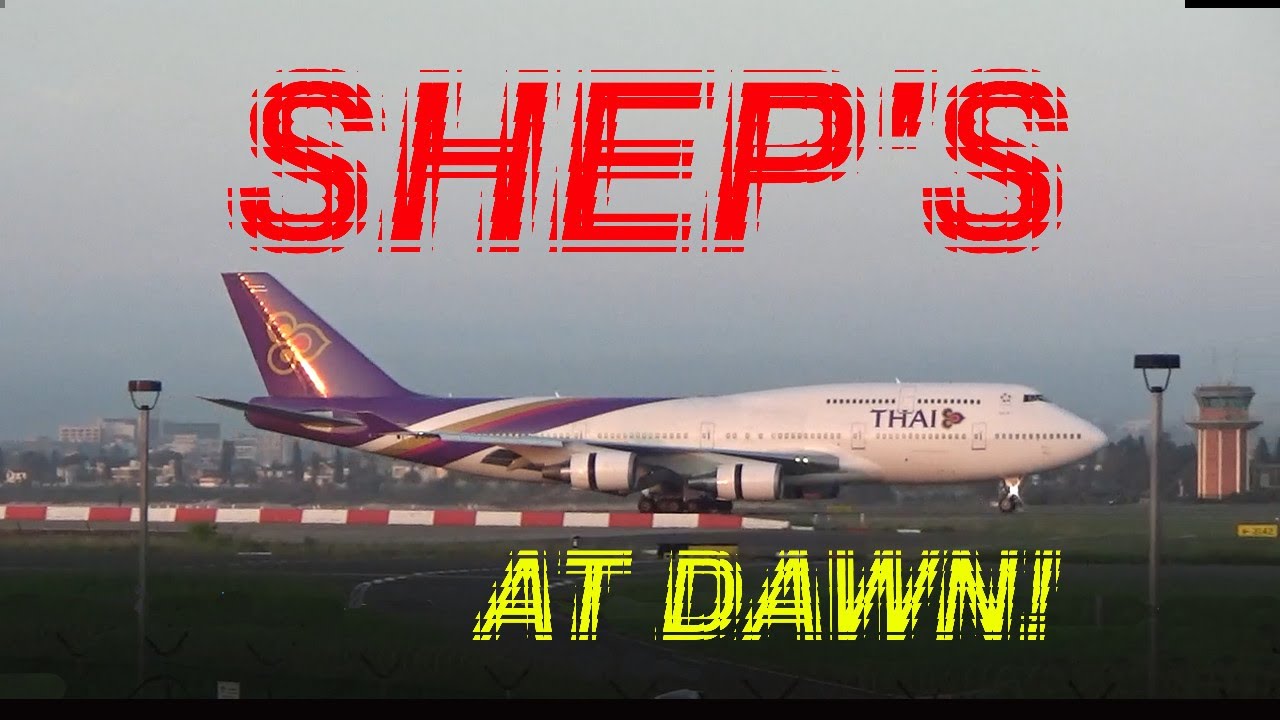 SRF331: SHEP'S MOUND AT DAWN- 18-2-2020 - YouTube