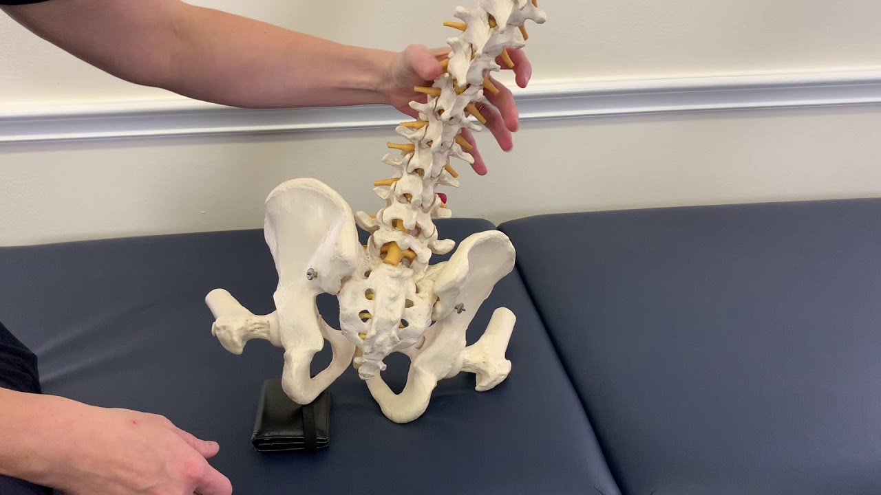 Top Chiropractor in Clear Lake, TX Shares how Sitting on your Wallet ...