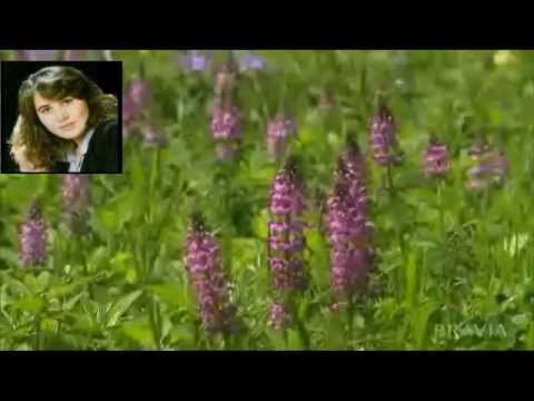 DESTE GÜNAYDIN(LELE GURBAN ZOR GELIR).mpg