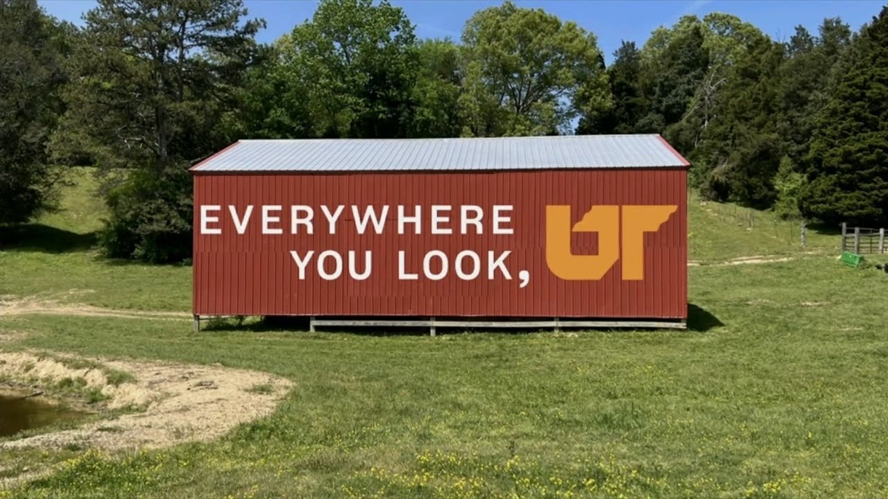 "Everywhere you look, UT" mural comes to Rhea County - YouTube