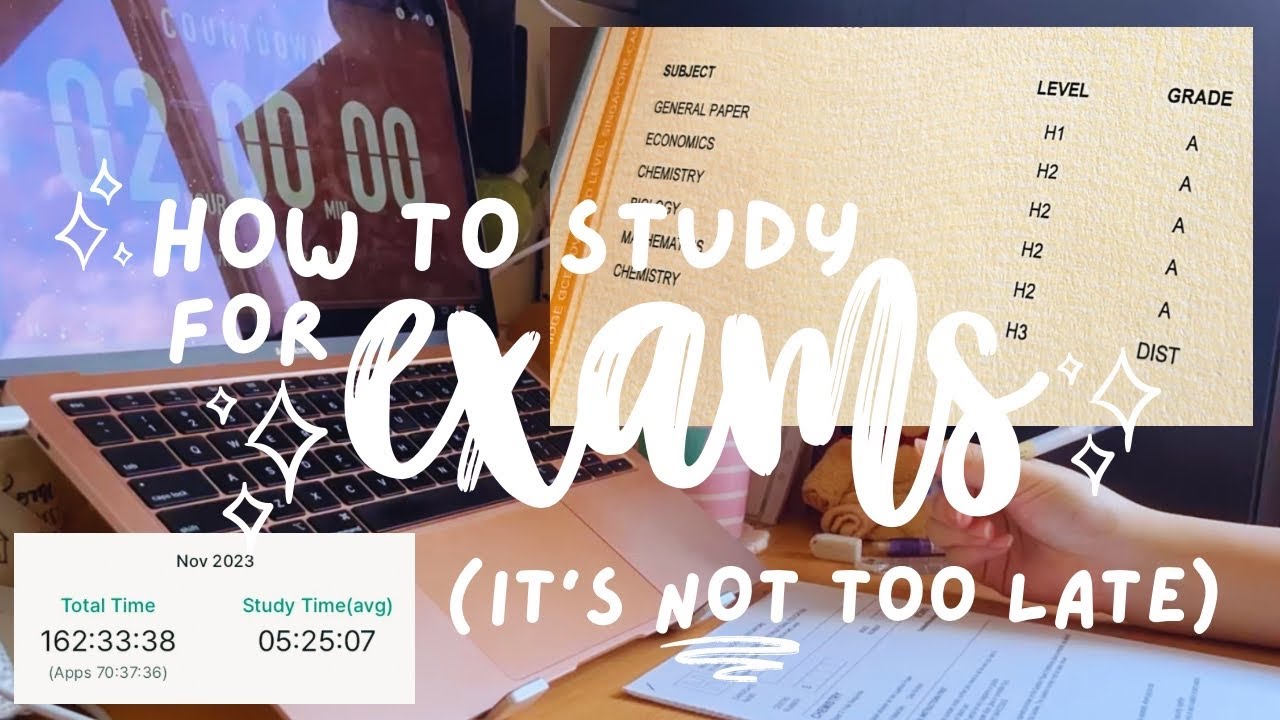 the ultimate exam study guide: how to get straight A’s without burnout ...