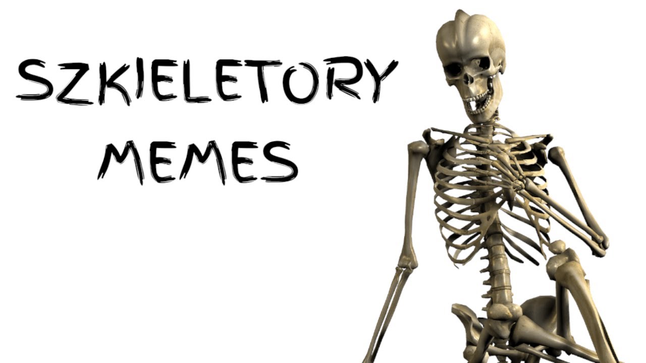 💀SZKIELETORY MEMES💀 - YouTube