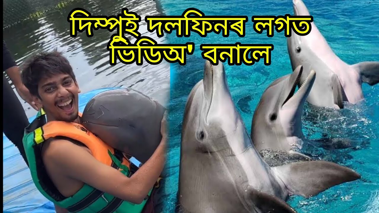 Dimpu baruah with dolphin fish / Dimpus vlog thailand dolphin - YouTube