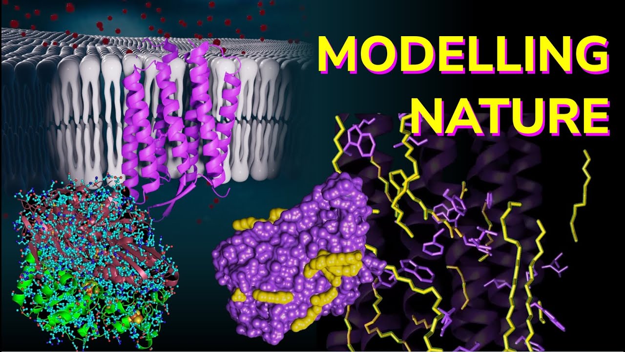 Modelling Nature - How we learn from Biology - YouTube