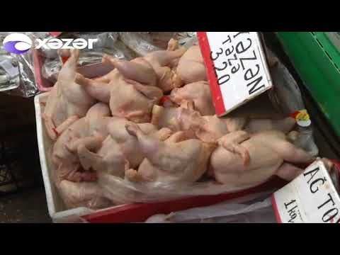 Bakıda broyler toyuqları kənd toyuğu adı ilə satılır