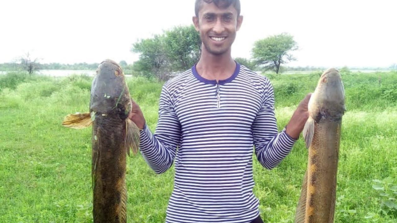 Fish hunting - YouTube