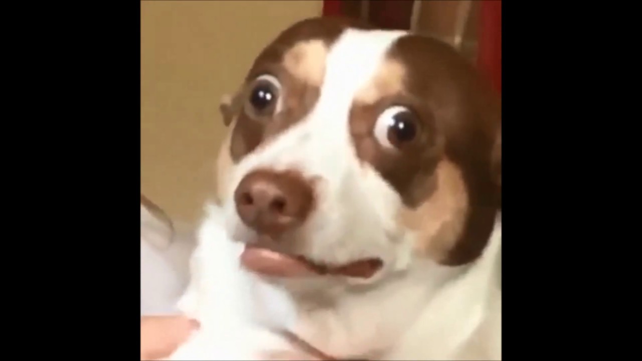 Mr Bubz sped-up & slowed-down - YouTube