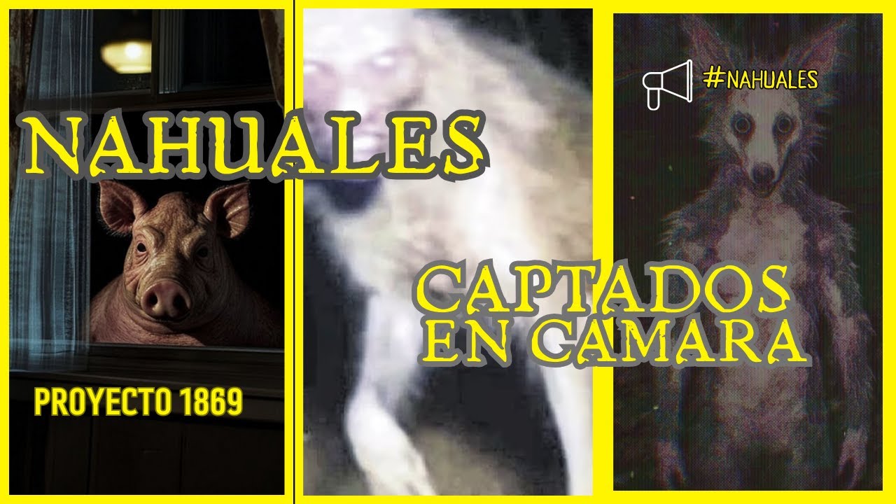 Nahuales Reales Captados En Cámara #nahuales - YouTube