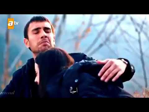 احببنا رغم معرفتنا للنهاية ❤️حالات واتس اب 💕