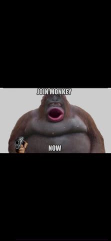 Join Monkey - YouTube