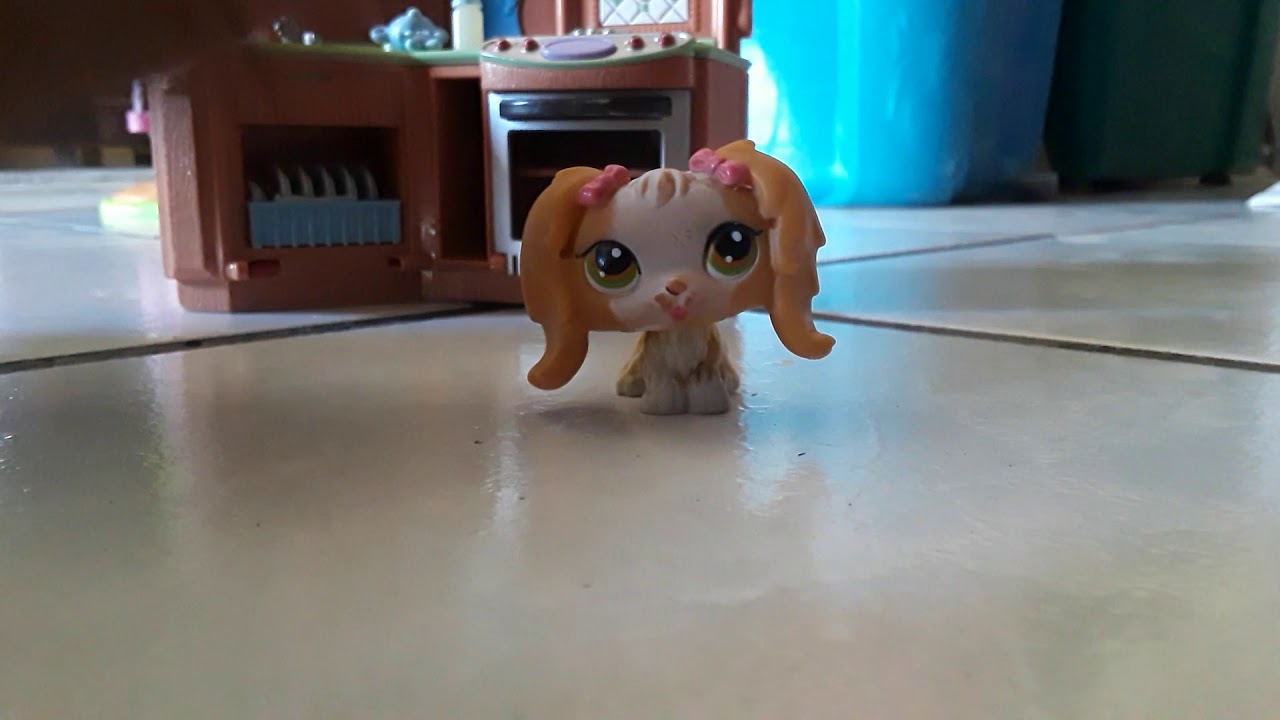 Lps:Home routine pt1 - YouTube