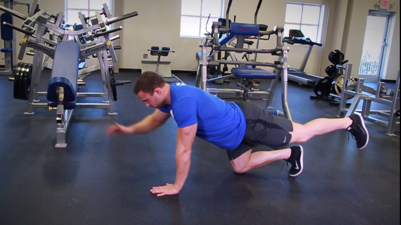 What Muscles Does The Bird Dog Work