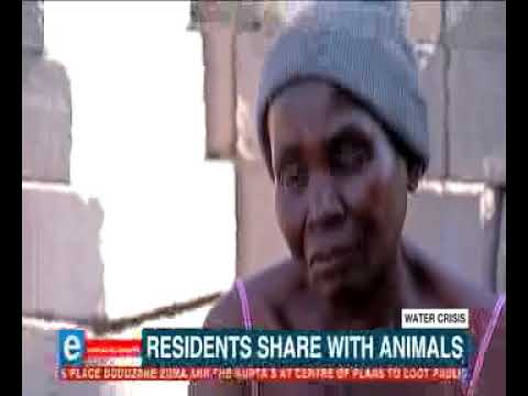 SARANI, HA-MAKUYA - YouTube