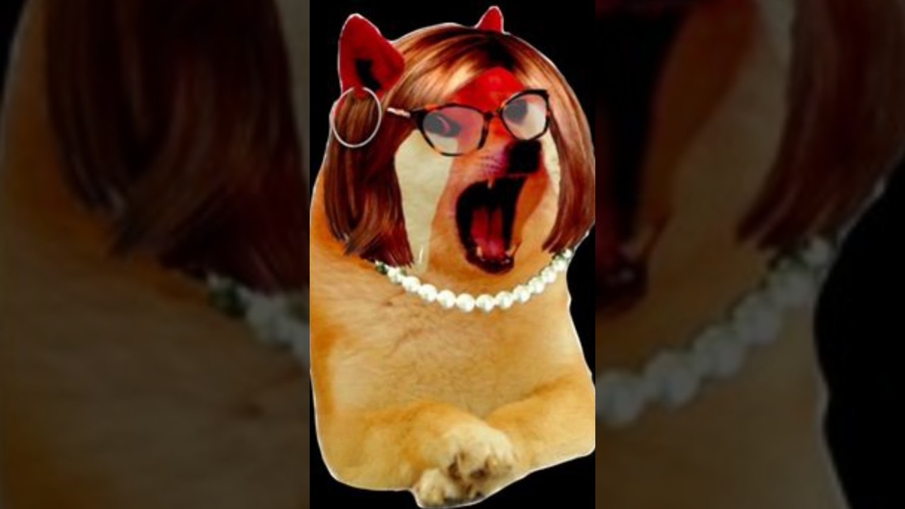 4 Top Doge meme - YouTube