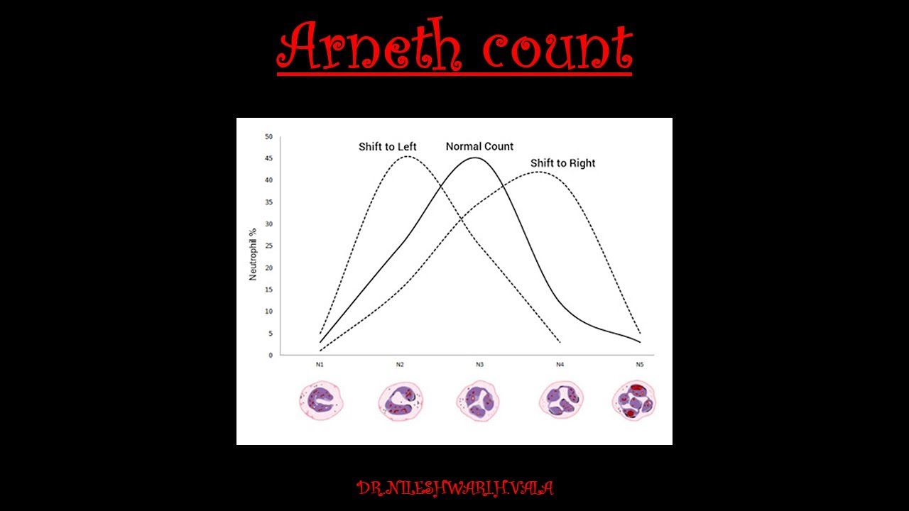 ARNETH COUNT - YouTube