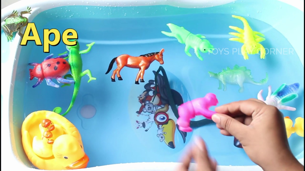 Learn Wild Animals Zoo Animals Sea Animals Farm Animals Insects Name ...