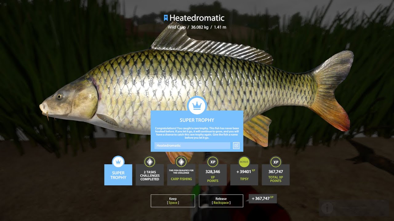 "Super Trophy" Wild Carp 36.082kg - RF4 Trophies - RF4 - YouTube