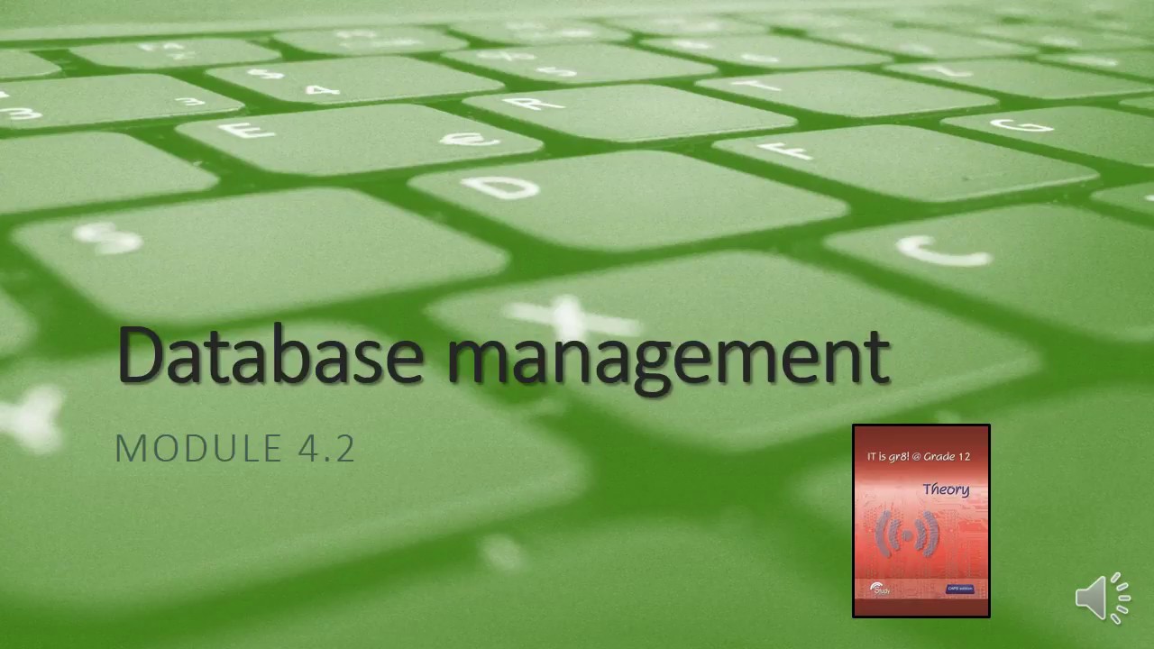 Gr 12 IT 4 2 Database Management - YouTube