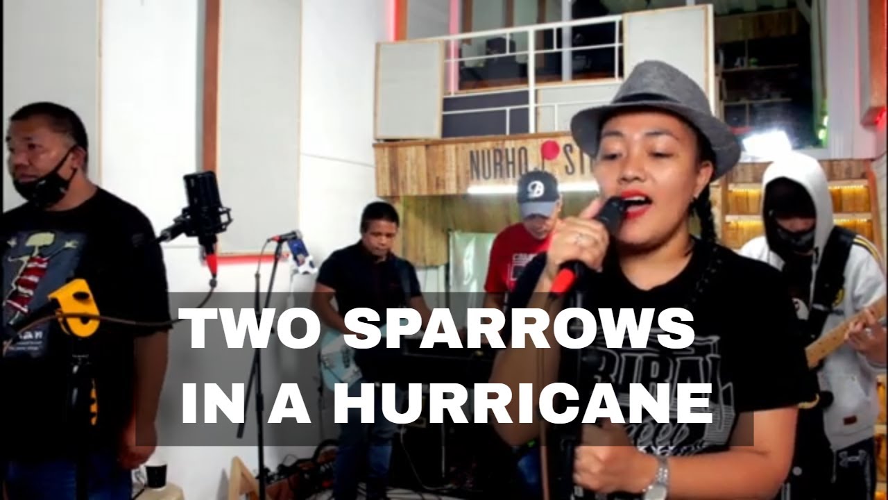 Two Sparrows In A Hurricane - Tanya Tucker - YouTube
