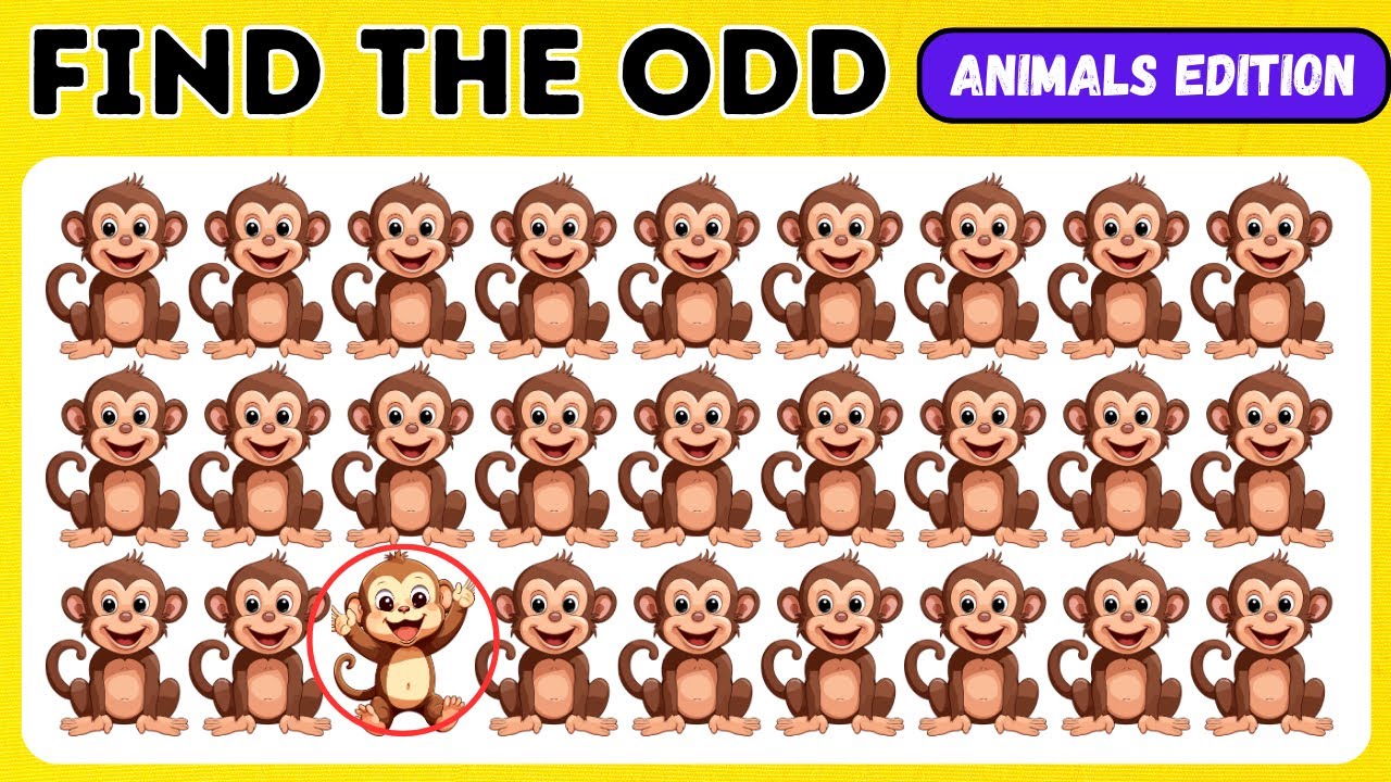 Spot The Difference | Find The Odd | Brain Game | Find The Odd Game ...