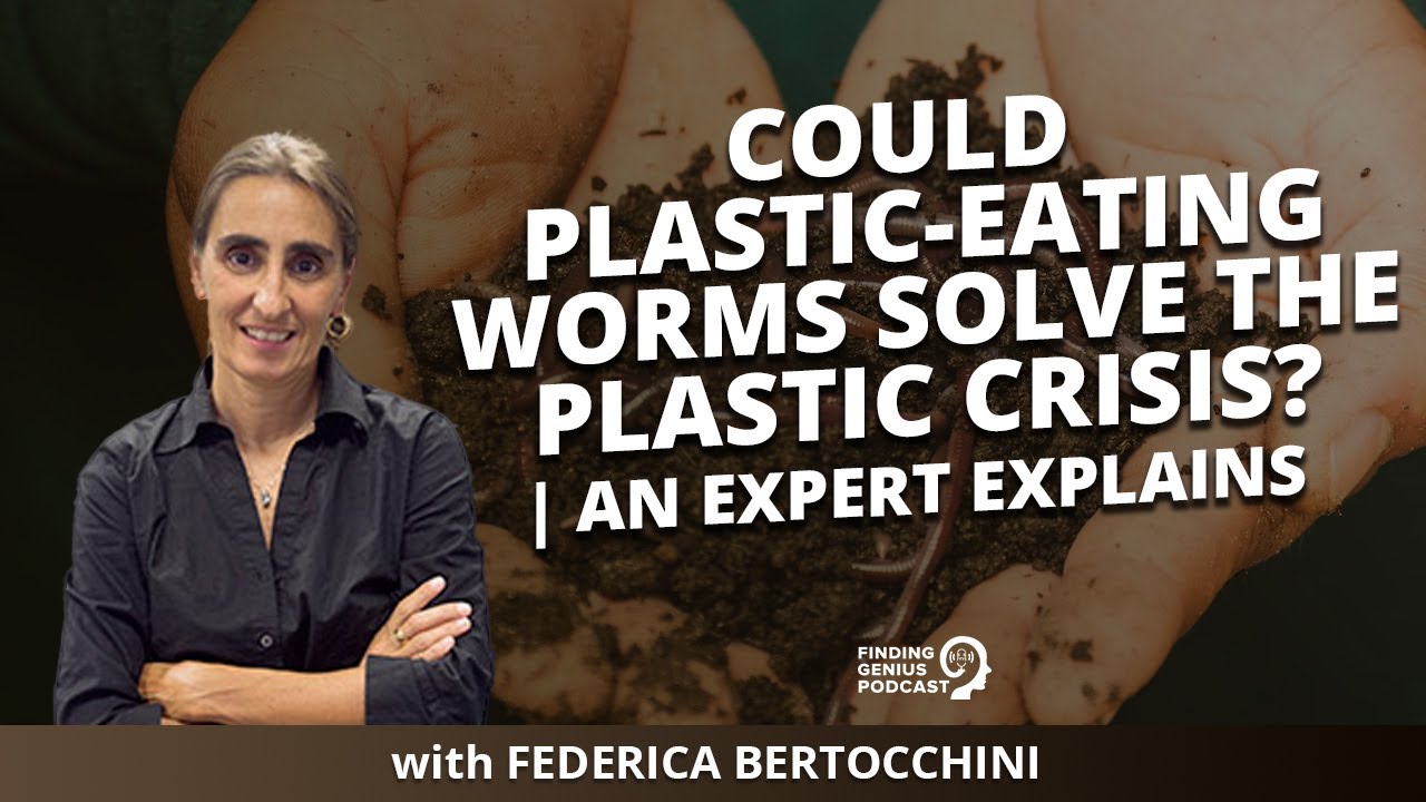 Could Plastic-Eating Worms Solve The Plastic Crisis? | An Expert ...
