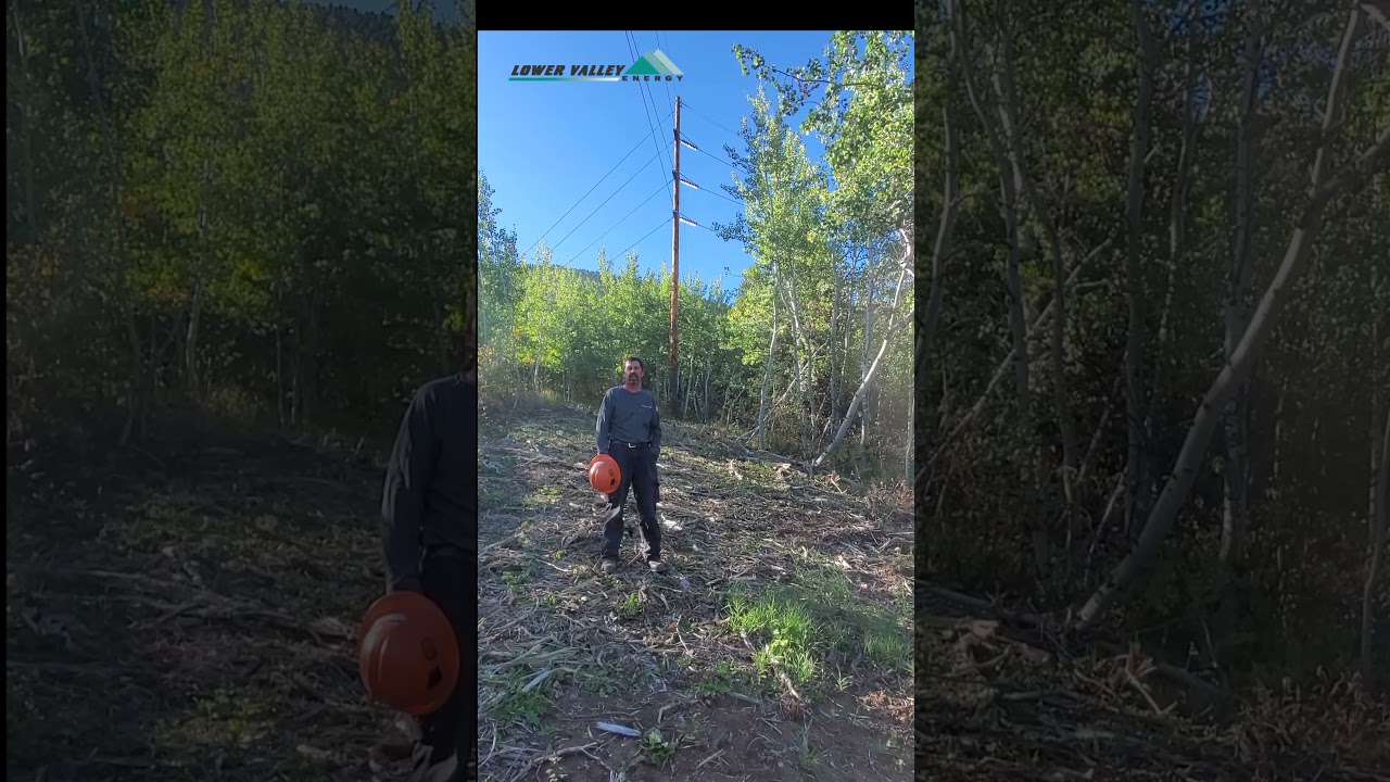 Tree Trimming/Clearing - YouTube