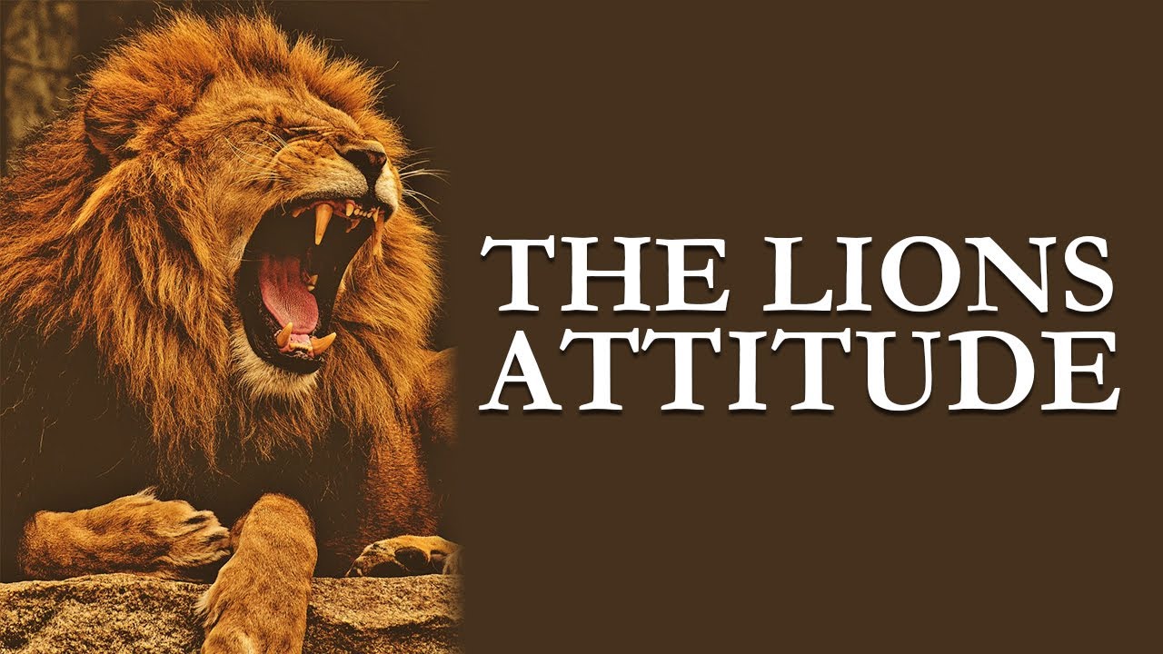 LIONS Attitude - Growth & Confidence Mindset | Powerful Motivation ...