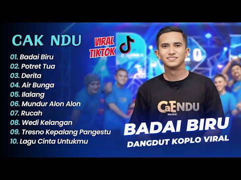 CAK NDU VIRAL TIKTOK - BADAI BIRU - POTRET TUA - DERITA || DANGDUT KOPLO HITS 2025