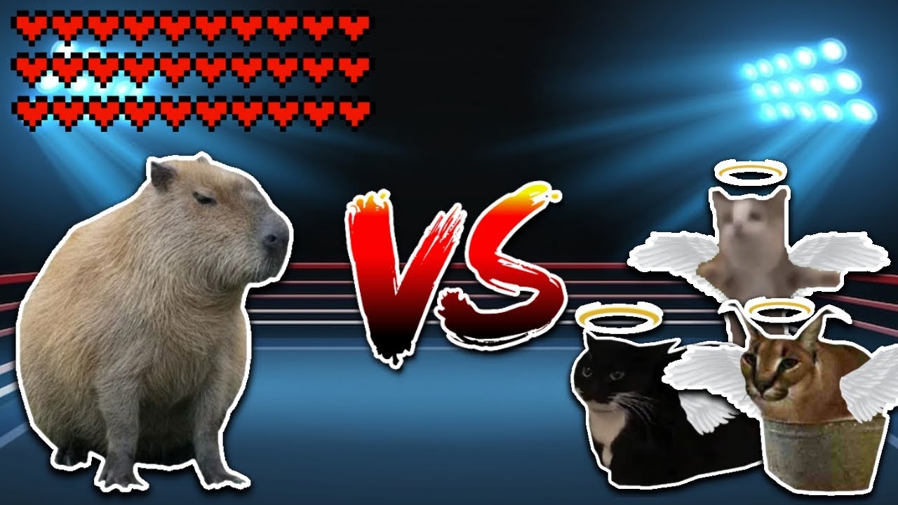 Capybara vs All Angel Dogs! Meme battle - YouTube