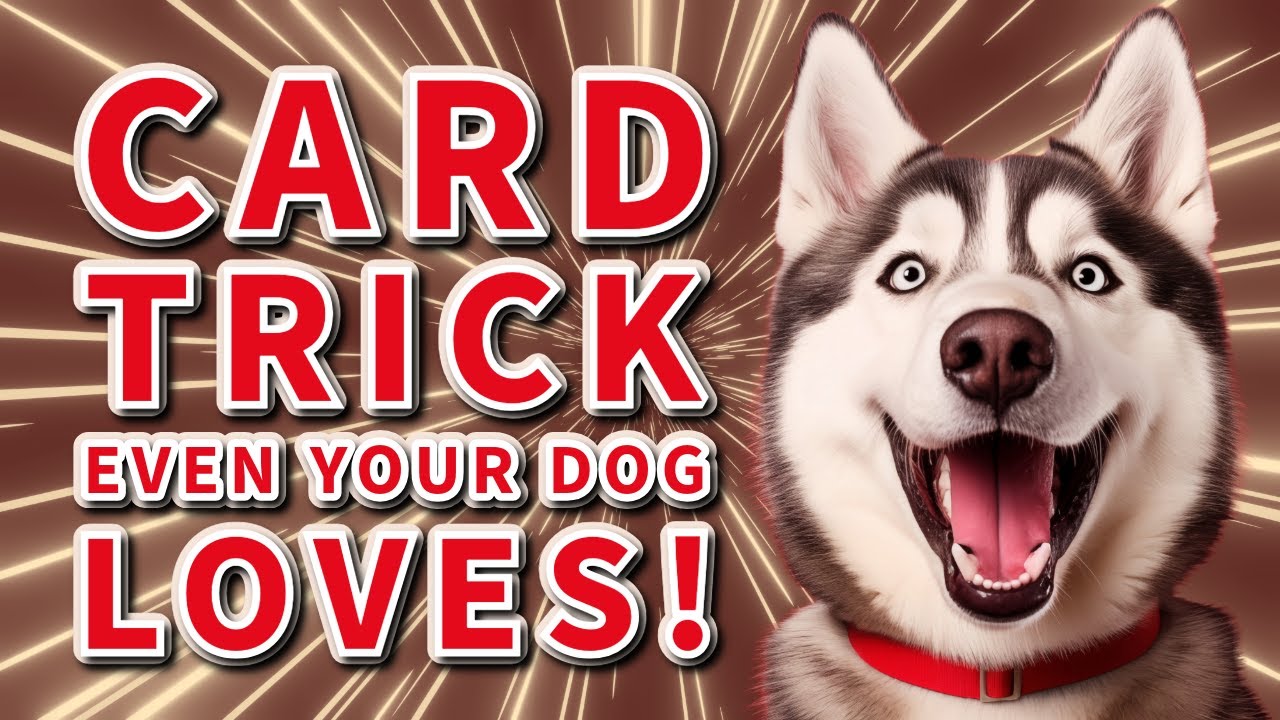 SIMPLE Math Creates AMAZING Card MAGIC! (Math Card Magic 💎) - YouTube