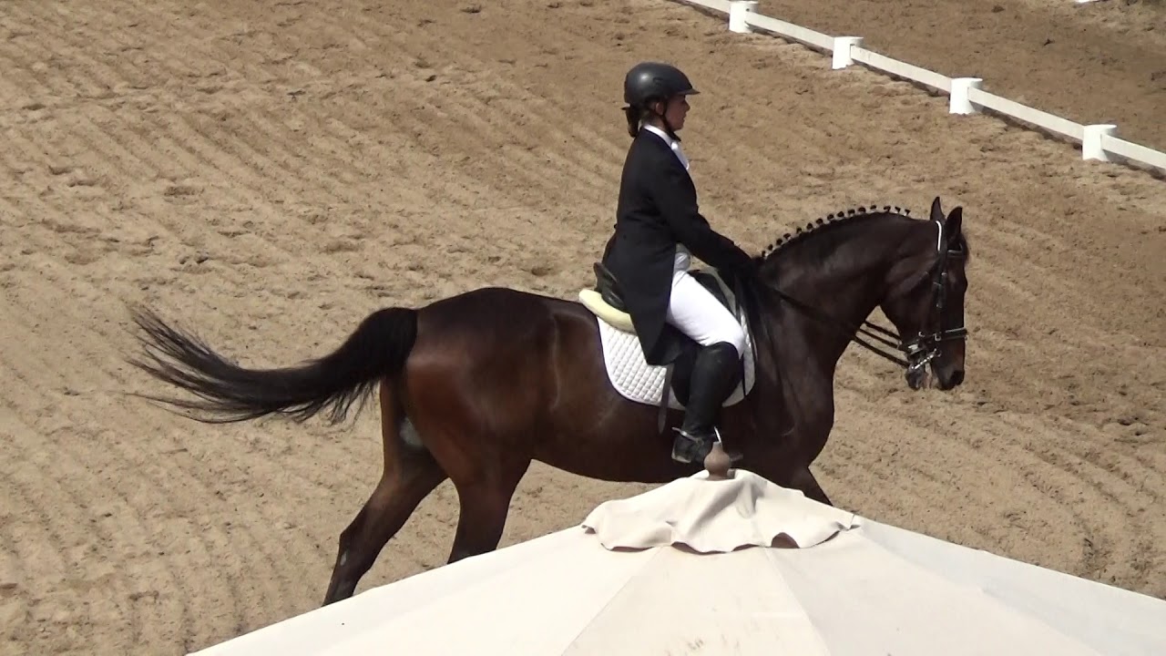 MARIA EMILIA RIVALDO-GAUCHO ADESTRAMENTO 2019 007 - YouTube