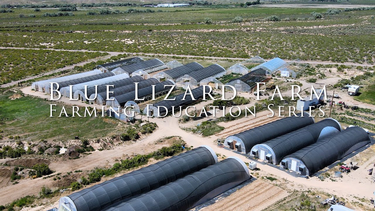 Welcome to Blue Lizard Farm, an Education Series - YouTube