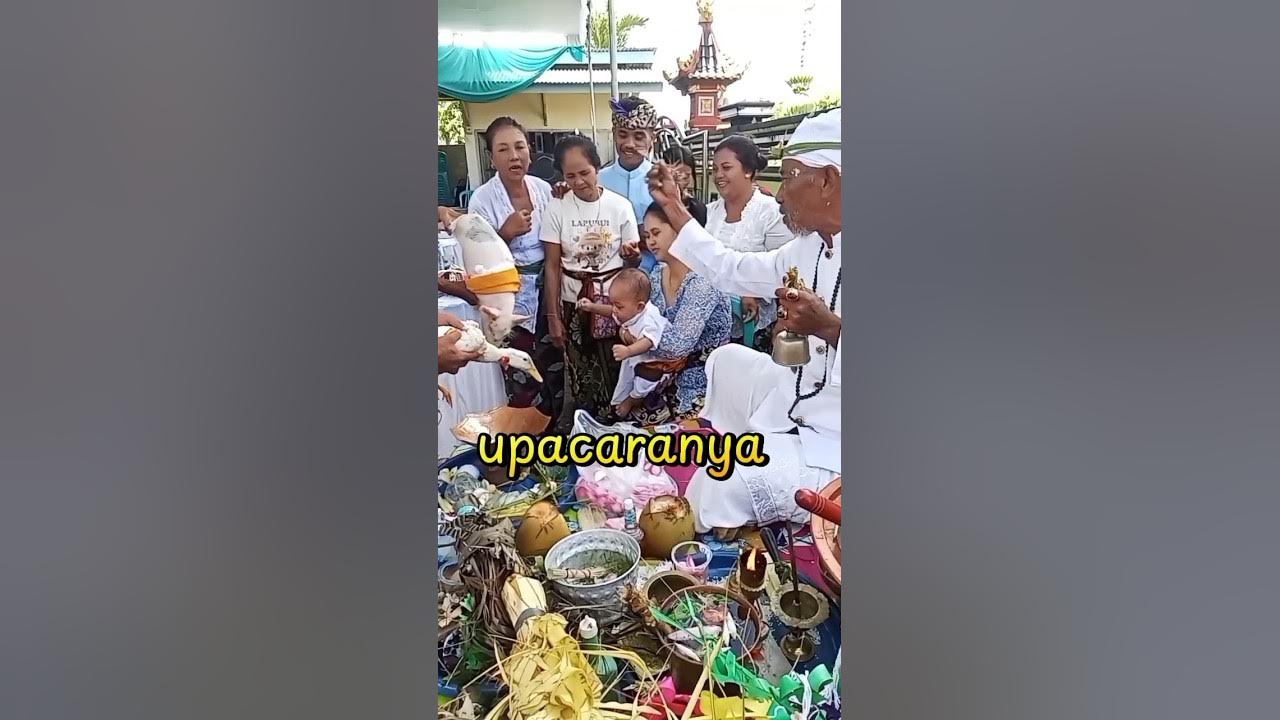 Upacara Yadnya nyambutin nelubulanin Abisena di Lampung Selatan - YouTube