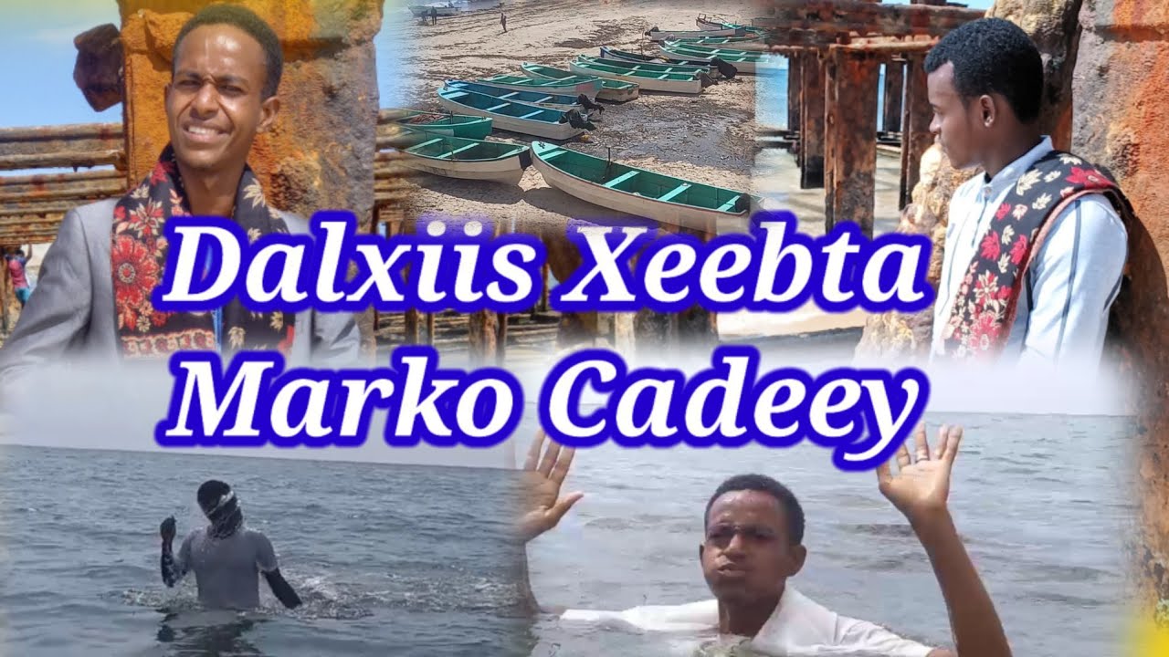 Dalxiis Xeebta Marka Caddeey - YouTube