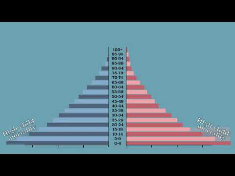 What Does A Beehive Population Pyramid Mean