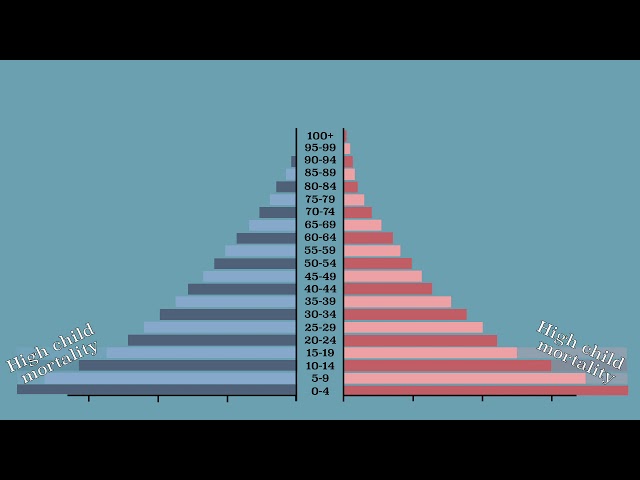 Madagascar Population Pyramid Datasets MapAction