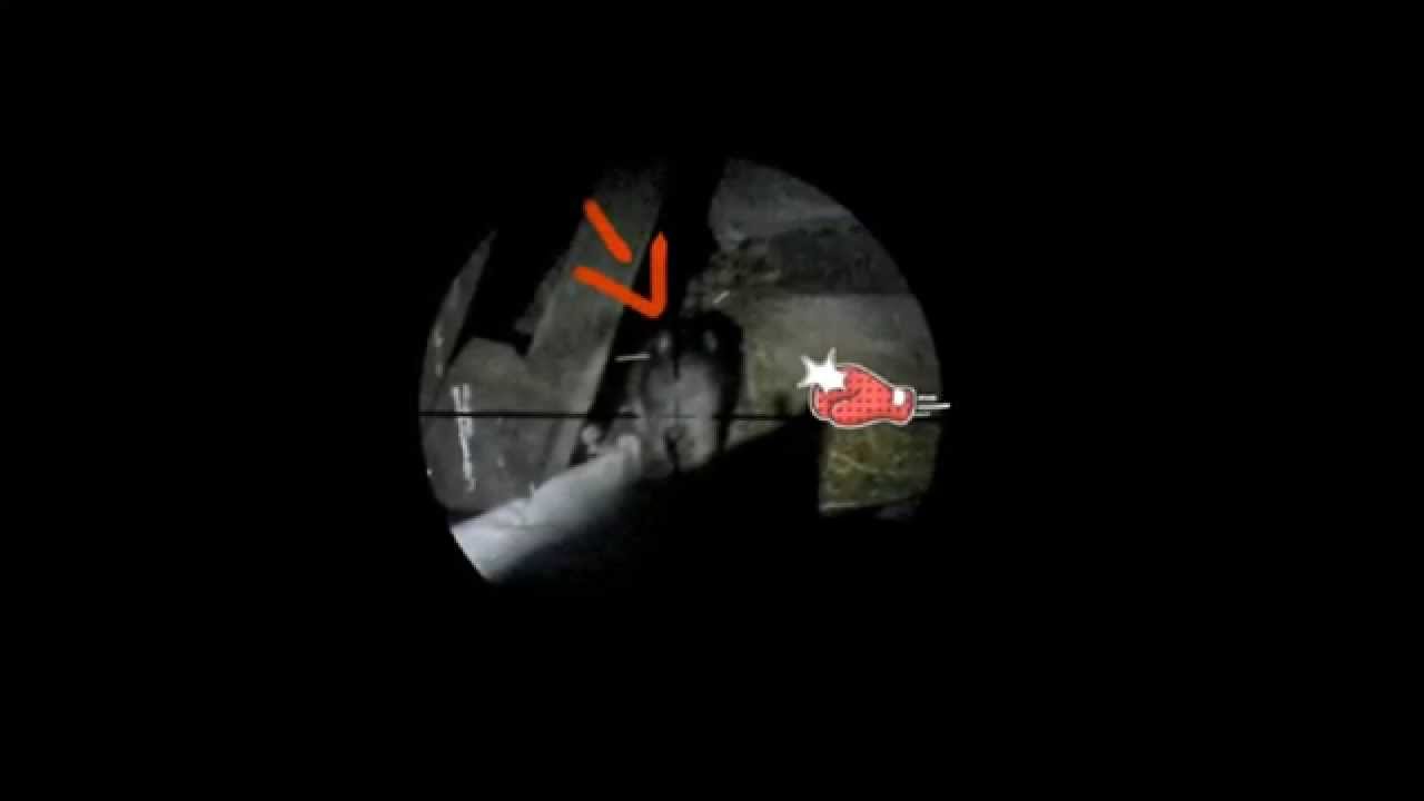 Air rifle rat hunting!!!! - YouTube