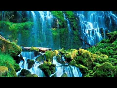 🌿🍃Nature, Meditation Music, Relaxing Nature Music, Sleep Music, Spa, Sounds of Nature, Forest View