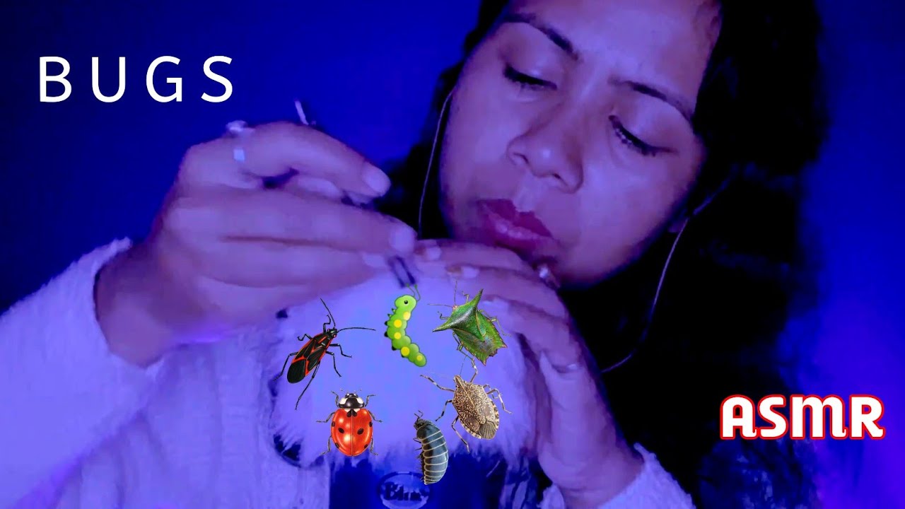 asmr | Bug searching asmr 🐛 asmr bugs 🐞 - YouTube